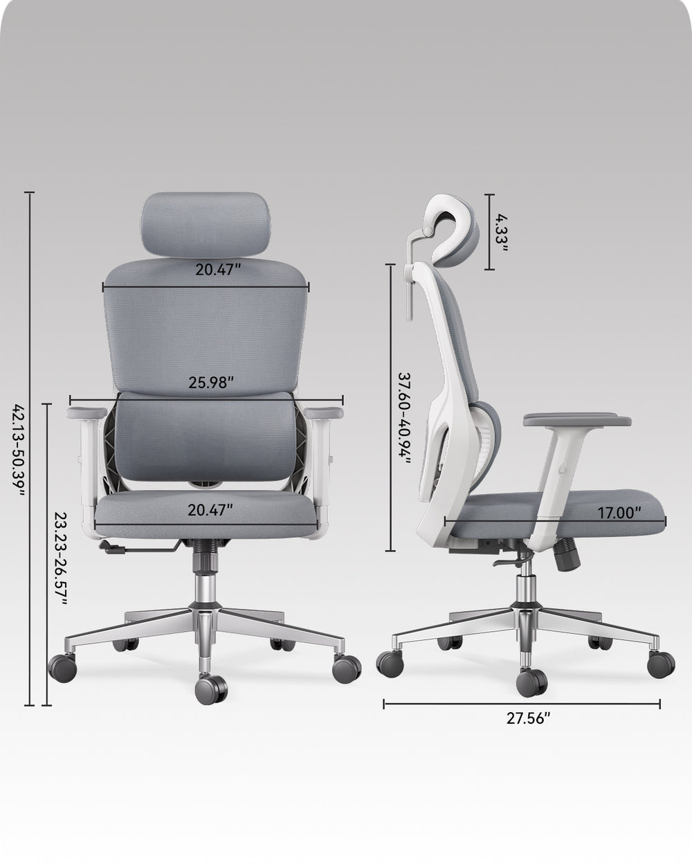 Hbada P2 Office Chair, Desk Chair with Adjustable Lumbar Support